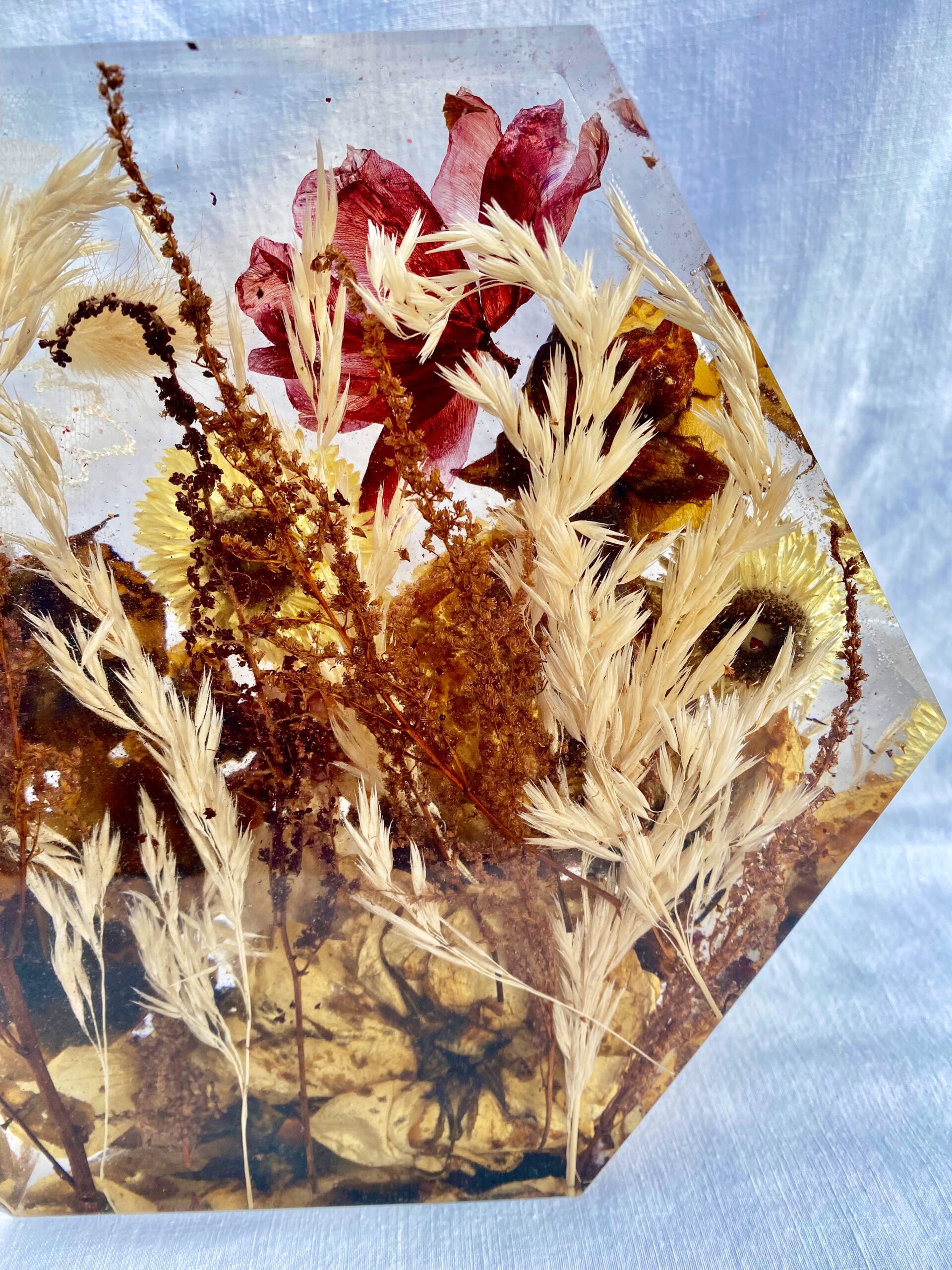 Process - Roses Preservation