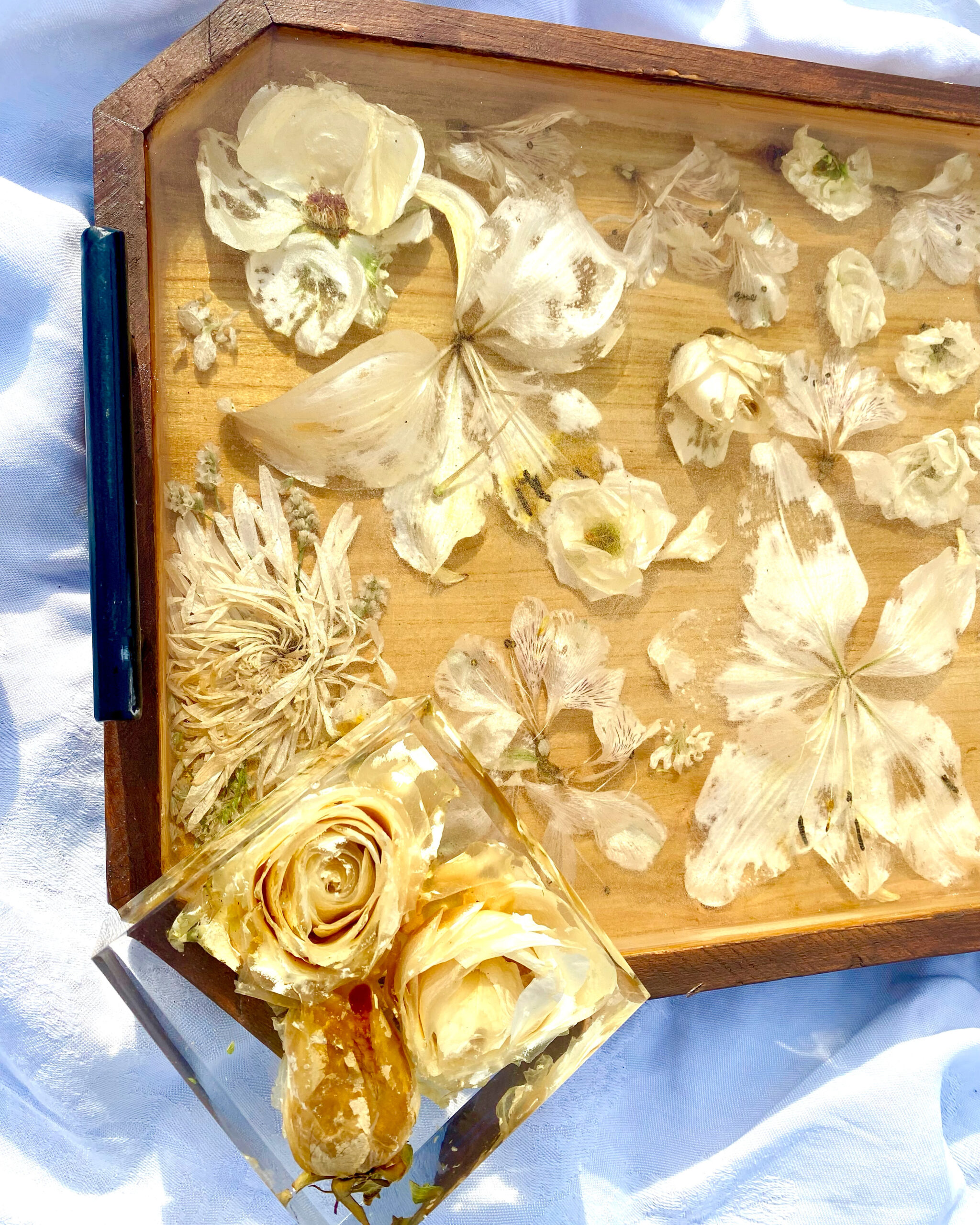 Process - Roses Preservation