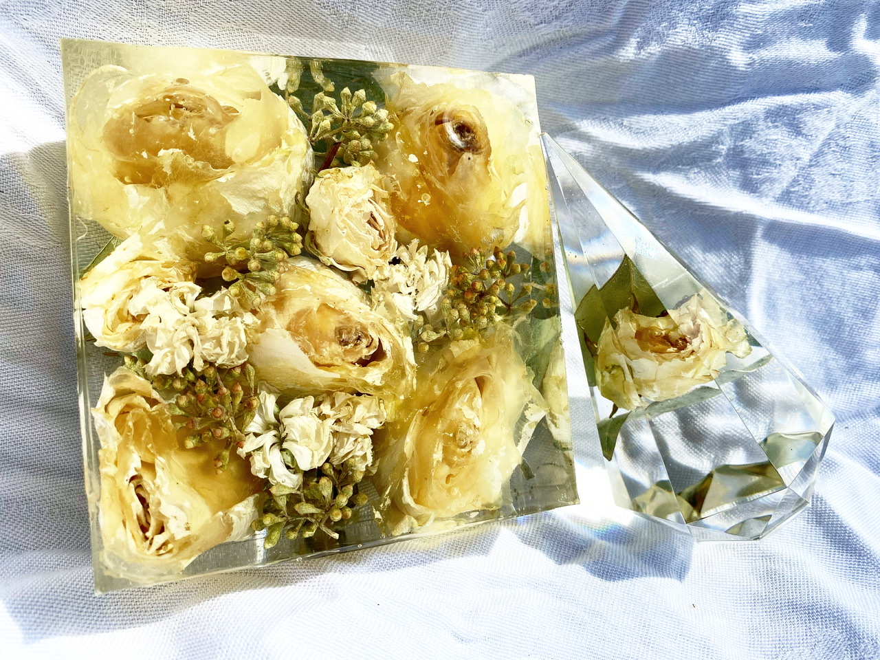 Process - Roses Preservation