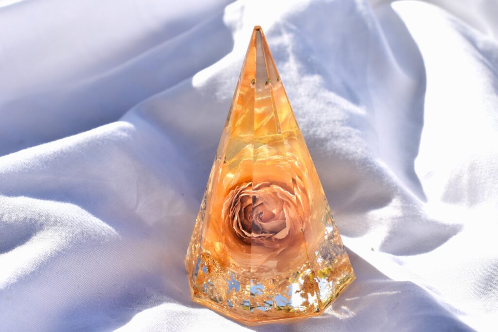 Process - Roses Preservation